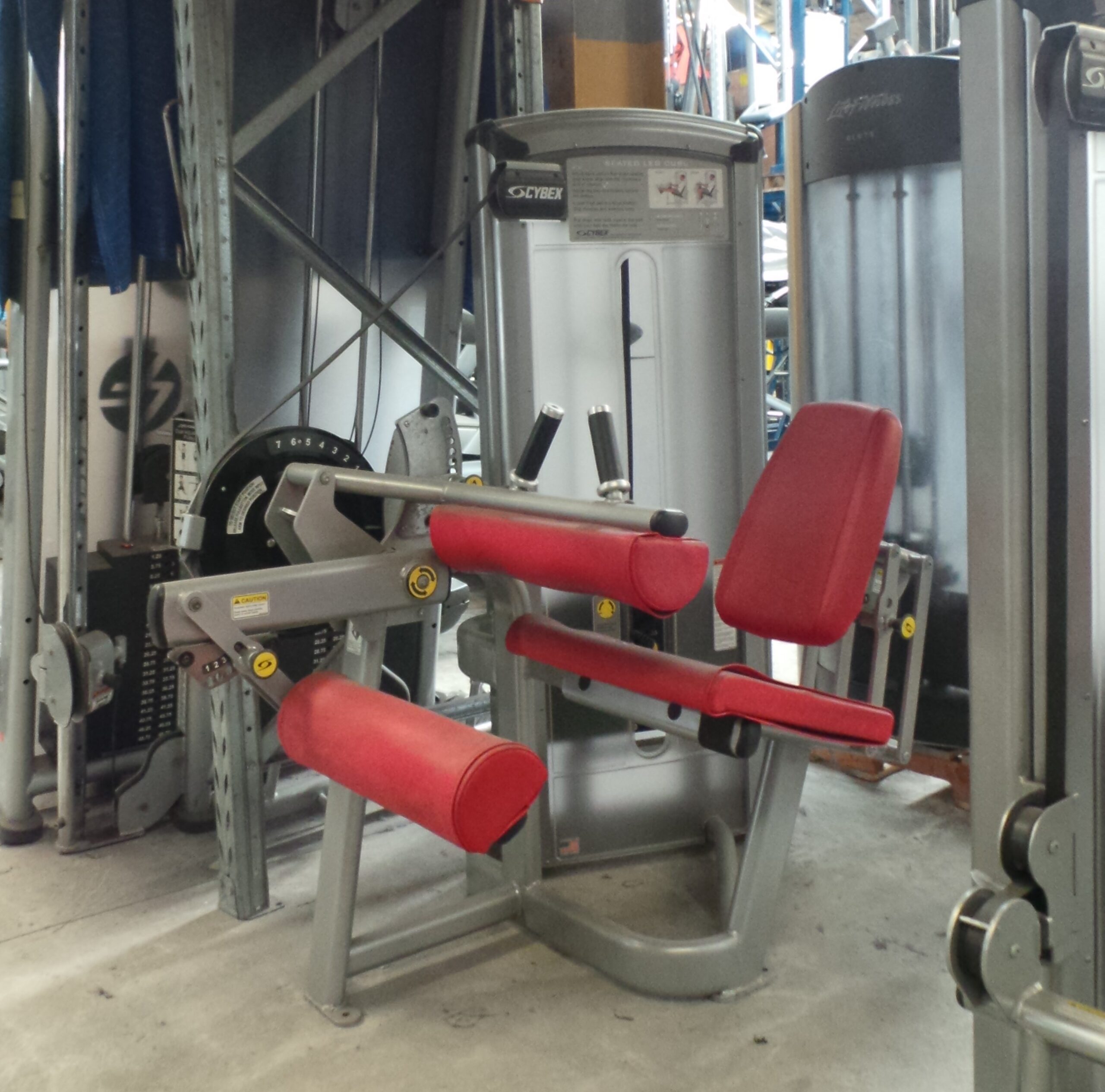 Cybex Seated Leg Curl | Gym Solutions
