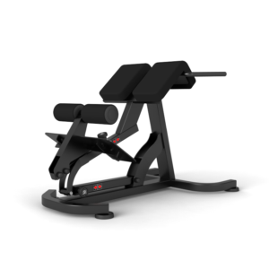 Newtech Roman Chair - Gym Solutions Gym Equipment
